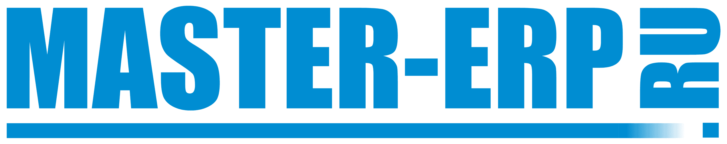 Master Erp Ru
